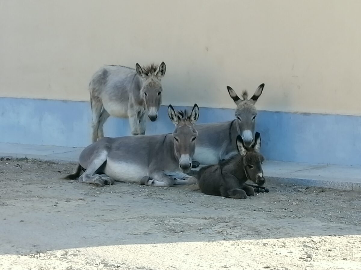 BLOG Sailing RONIK - Arundel Yachting